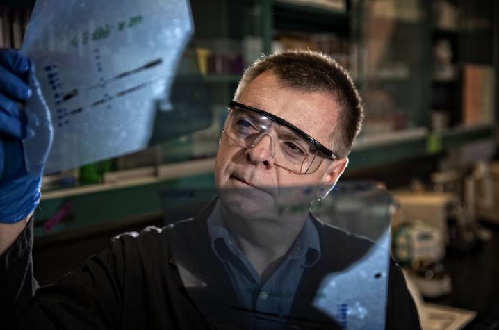 M. Paul Murphy: 2025-26 University Research Professor Q&A | UK College of Medicine